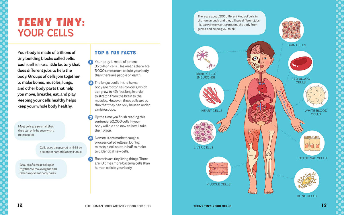 Human Body Activity Book for Kids: Hands-On Fun for Grades K-3 – AESOP ...