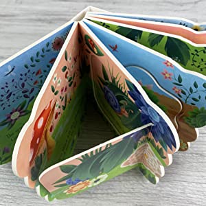 Little Green Frog: Lift-a-Flap Board Book – AESOP'S FABLE