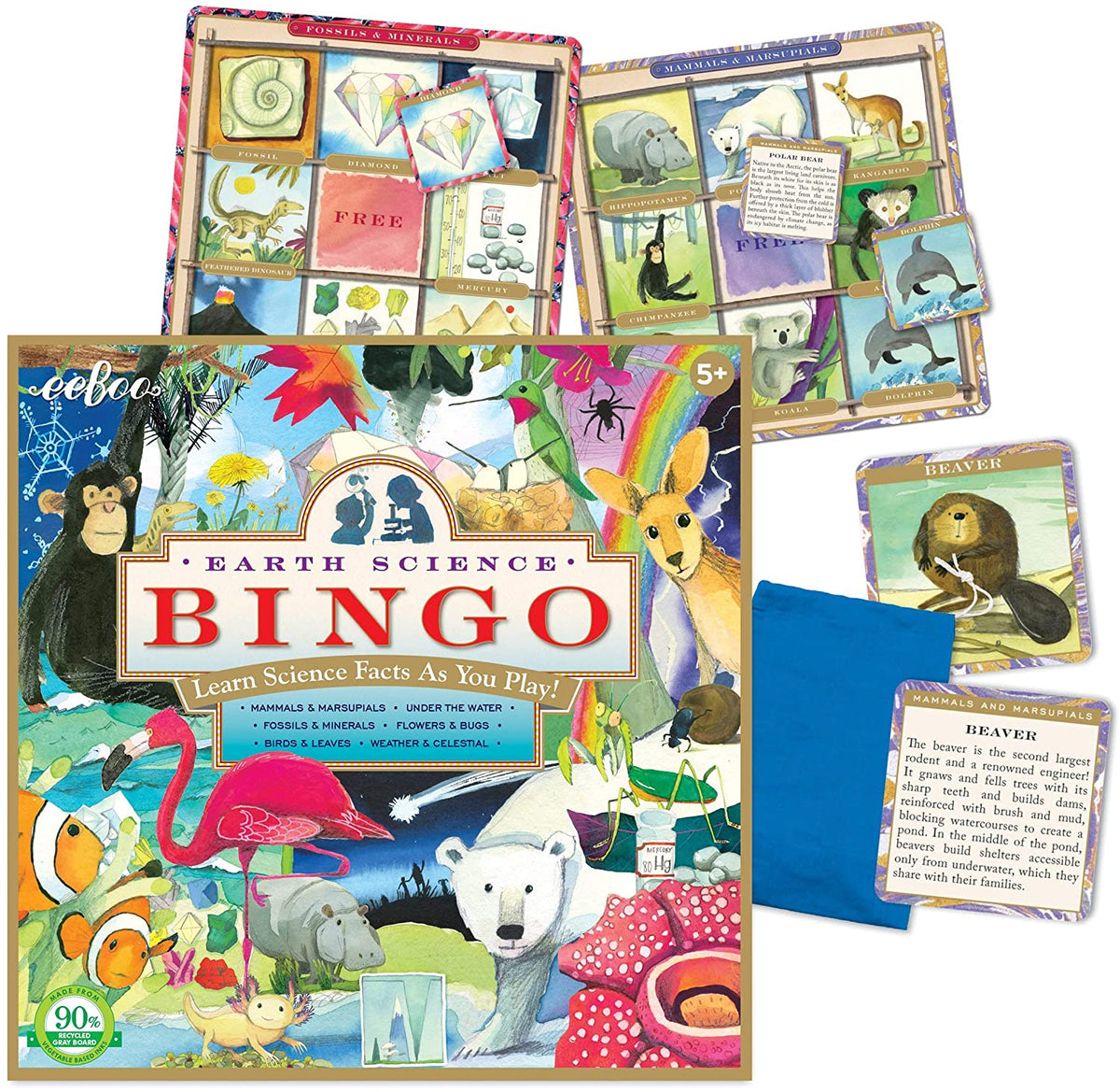 Natural Science Bingo – AESOP'S FABLE