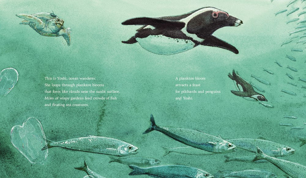 Yoshi and the Ocean – AESOP'S FABLE