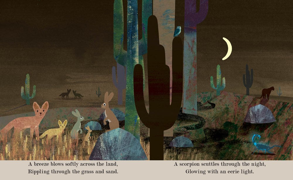 Moon: A Peek-Through Board Book – AESOP'S FABLE