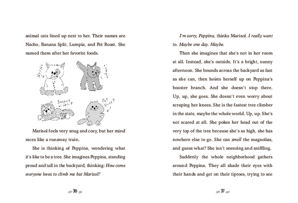 Maybe Maybe Marisol Rainey – AESOP'S FABLE