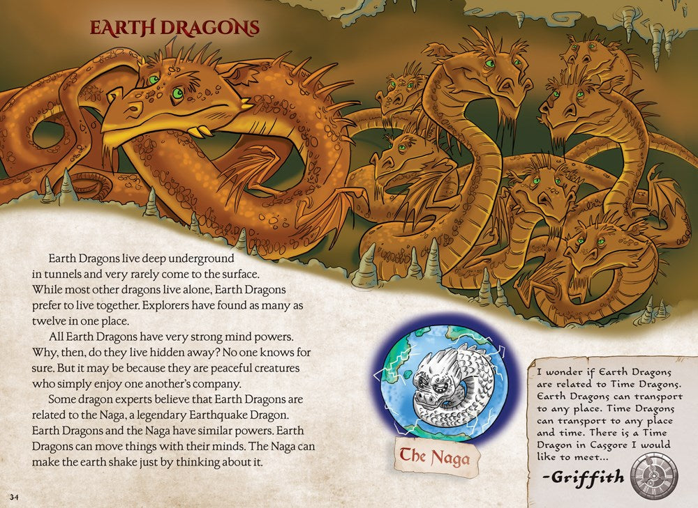 The Epic Guide to Dragon Masters – AESOP'S FABLE