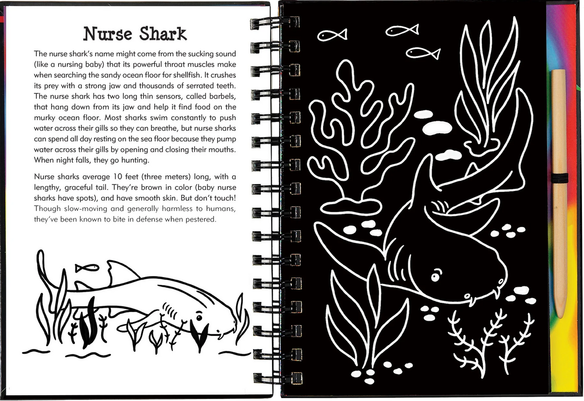 Scratch & Sketch Sharks – AESOP'S FABLE