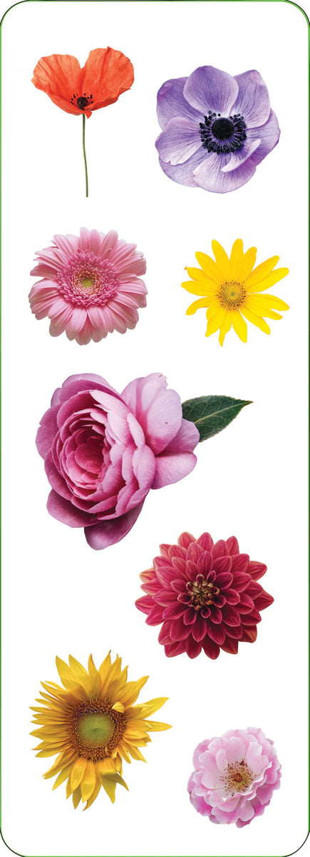 Flowers Sticker Set – AESOP'S FABLE