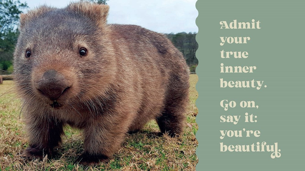 Little Book Of Wombat Wisdom – AESOP'S FABLE