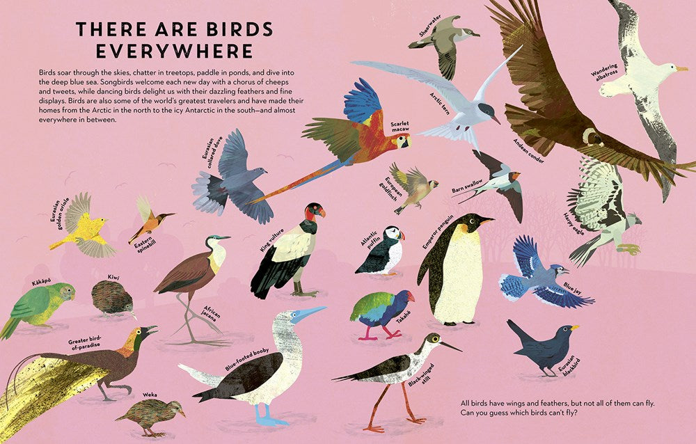 Birds Everywhere – AESOP'S FABLE