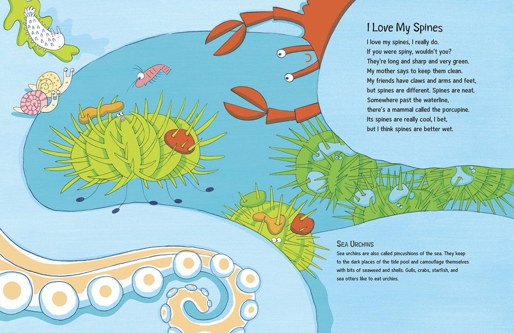 Ocean Soup: Tide Pool Poems – AESOP'S FABLE