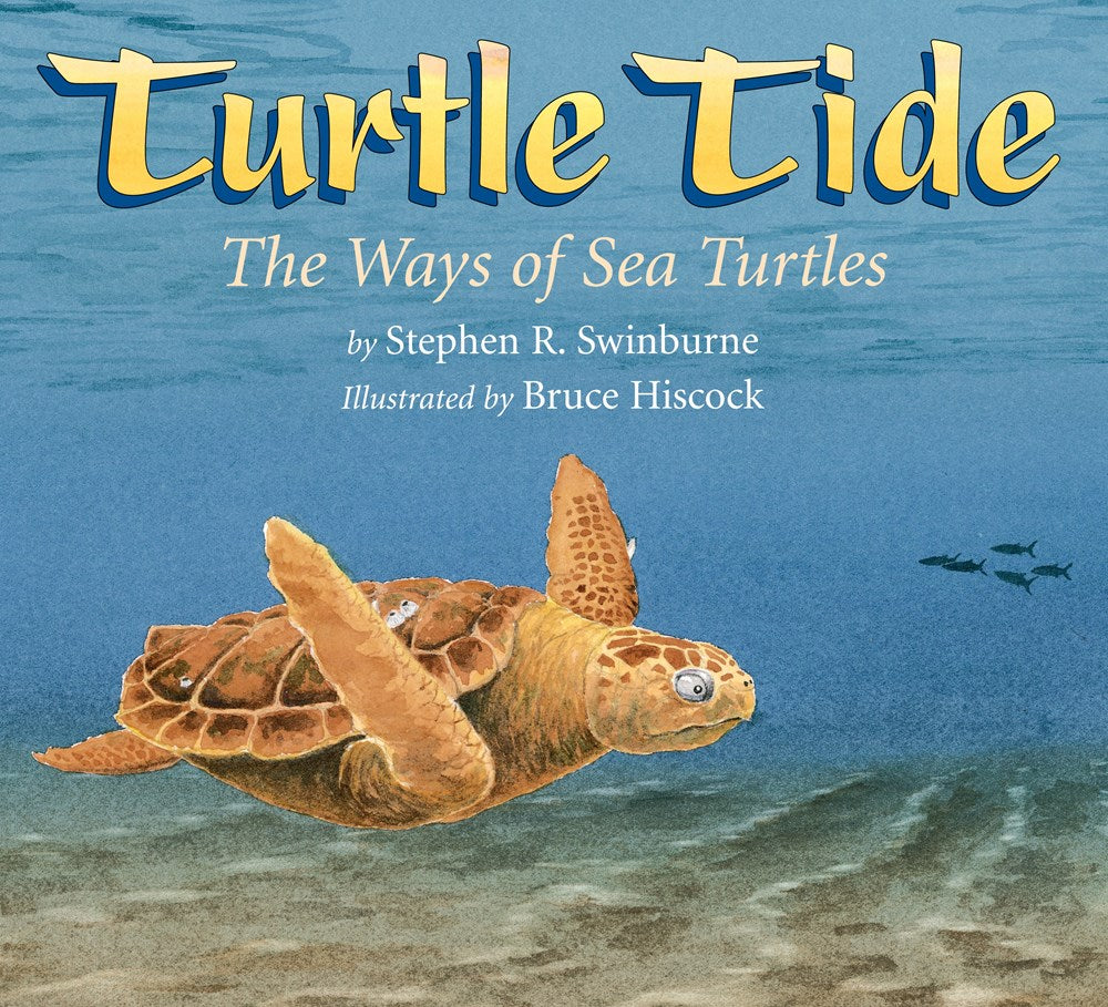 Turtle Tide: The Ways of the Sea Turtles – AESOP'S FABLE