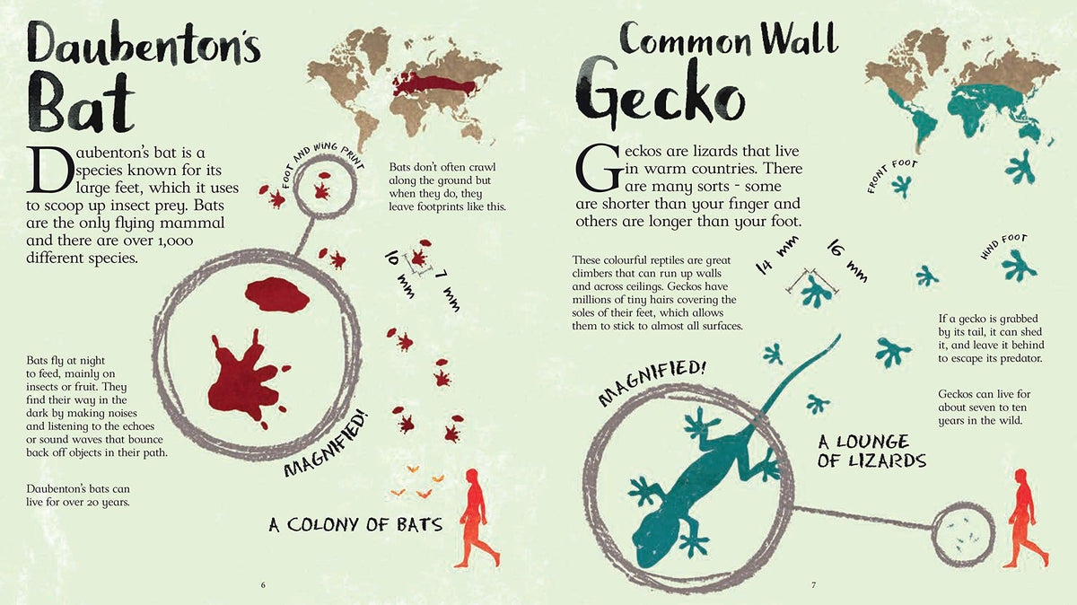 Life-Sized Animal Tracks – AESOP'S FABLE