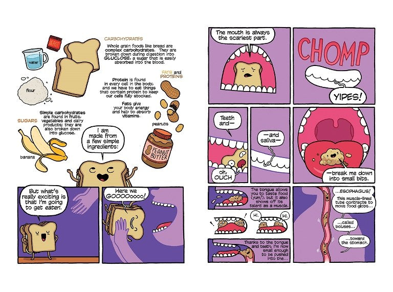 Human Body Theater – AESOP'S FABLE