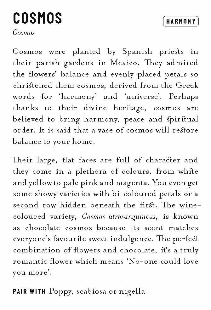 Floriography: The Meaning of Flowers – AESOP'S FABLE