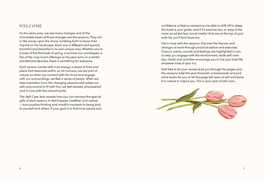 The Self-Care Year – AESOP'S FABLE